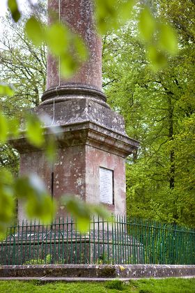 Savernake Forest Savernake Forest England Uk Editorial Stock Photo ...