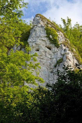 Undercliff Uk Editorial Stock Photo - Stock Image | Shutterstock