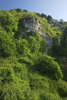 Undercliff Uk Editorial Stock Photo - Stock Image | Shutterstock