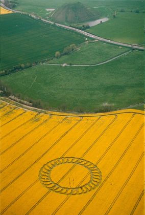 Corn Crop Circle Editorial Stock Photo - Stock Image | Shutterstock