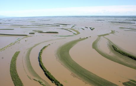 Fields Inundated By Floods Along Tongjiangfuyuan Editorial Stock Photo ...