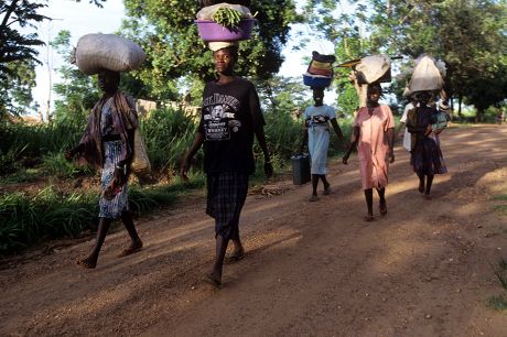 Woman Dinka Tribe Scarification Sudan Africa Editorial Stock Photo ...