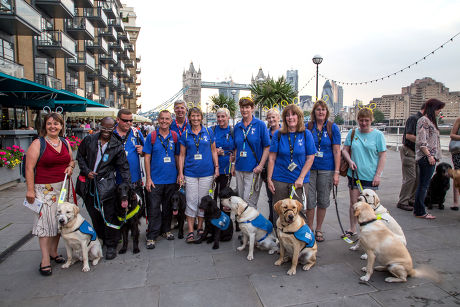 Guide Dogs Their Owners Charity Supporters Editorial Stock Photo ...