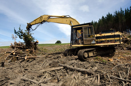 Log Loader Carrying Logs New Zealand Editorial Stock Photo - Stock ...