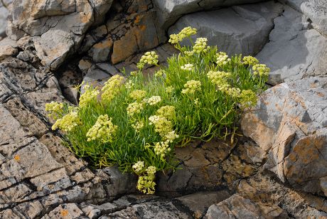 58 Maritimum Stock Pictures, Editorial Images and Stock Photos ...
