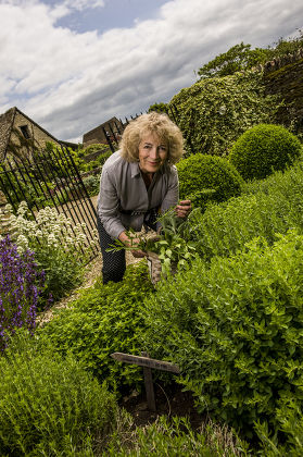 Judith Hann Editorial Stock Photo - Stock Image | Shutterstock