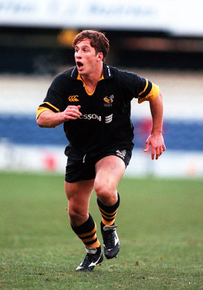 Mark Denney Wasps Wasps V Bougoin Editorial Stock Photo - Stock Image ...