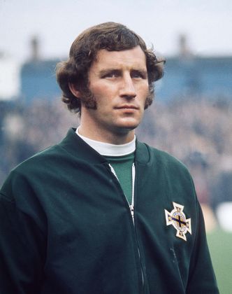 Terry Neill N Ireland Northern Ireland Editorial Stock Photo - Stock ...