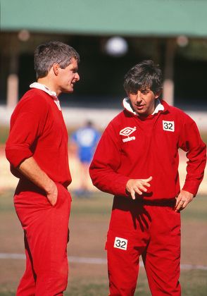 Rugby Union 1989 British Lions Tour Editorial Stock Photo - Stock Image ...