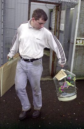 BERNARD MCGINN WHO WAS CONVICTED OF THE MURDER OF THE LAST BRITISH ...