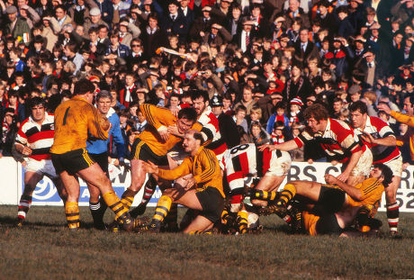 Rugby Union 1981 1982 Australia Tour Editorial Stock Photo - Stock ...
