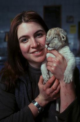 Kate Baron Hand Rearing Lion Cub Editorial Stock Photo - Stock Image ...