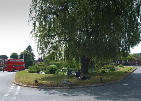 Duck Pond Middle Roundabout Year Editorial Stock Photo - Stock Image ...