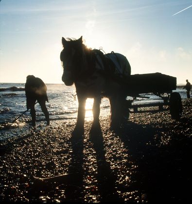 33 Lynemouth Stock Pictures, Editorial Images and Stock Photos ...