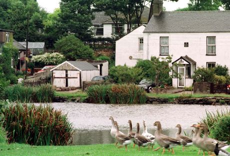 Carol Park Murder Exterior Carols Bungalow Editorial Stock Photo ...