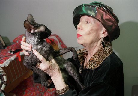 Ellen Weiss Her Cornish Rex Blue Editorial Stock Photo - Stock Image ...