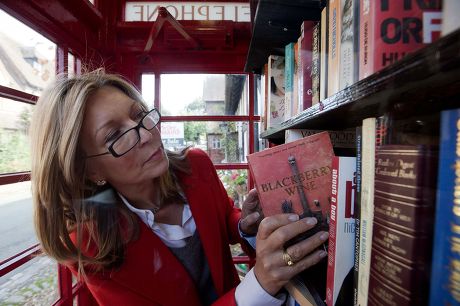 Lesley Hopkinson Converted Telephone Kiosk Library Editorial Stock ...