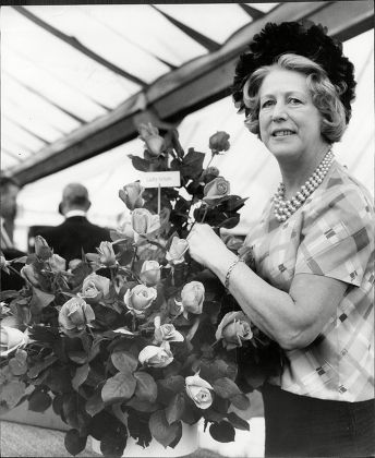 Flower Expert Author Lady Julia Clements Editorial Stock Photo - Stock ...