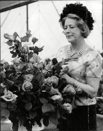 Flower Expert Author Lady Julia Clements Editorial Stock Photo - Stock ...