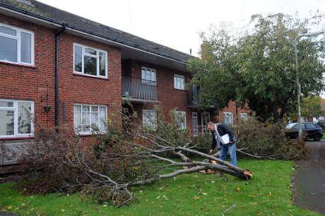 Damage Caused By Strong Winds Editorial Stock Photo - Stock Image | Shutterstock