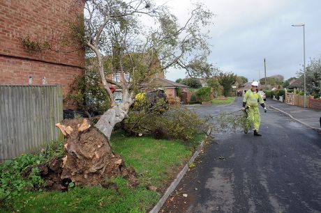 Damage Caused By Strong Winds Editorial Stock Photo - Stock Image ...