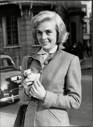 250 Lizabeth scott Stock Pictures, Editorial Images and Stock Photos ...