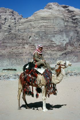 Camel Dromedary Camelus Dromedariuscloseup Arab Police Editorial Stock ...