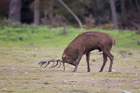 31 Ground rut Stock Pictures, Editorial Images and Stock Photos ...