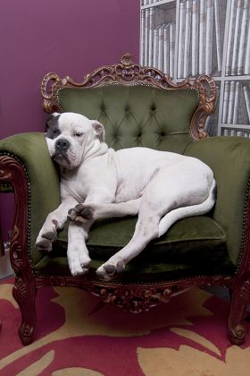 92 Tyme Stock Pictures, Editorial Images and Stock Photos | Shutterstock