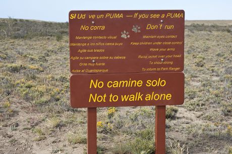 66 Puma sign Stock Pictures, Editorial Images and Stock Photos ...