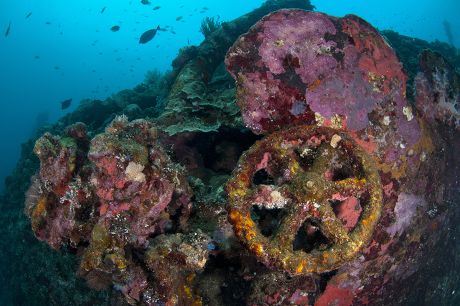 6 Sunken wheel Stock Pictures, Editorial Images and Stock Photos ...