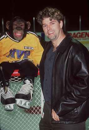 Jack Chimpanzee Film Most Valuable Primate Editorial Stock Photo ...