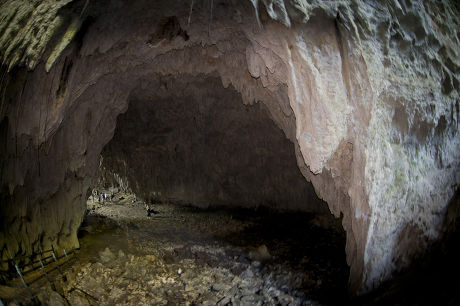 57 Japanese caves Stock Pictures, Editorial Images and Stock Photos ...