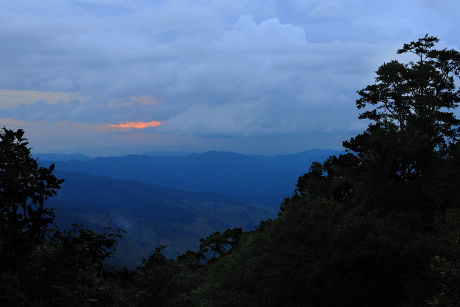 Mountain Range Tropical Montane Forest Habitat Editorial Stock Photo ...