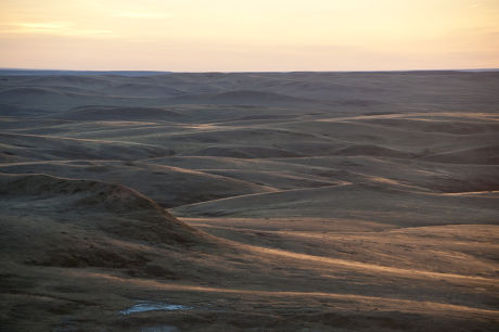 Shortgrass Prairie Habitat East Bloc Grasslands Editorial Stock Photo ...