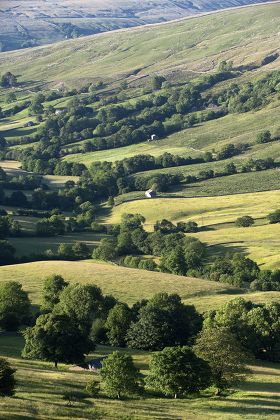Upland Farmland Trees Looking Down Dentdale Editorial Stock Photo ...