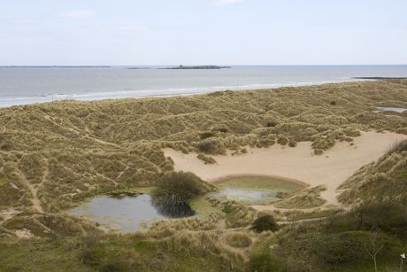 Coastal Sand Dune Slacks Pool Northumberland Editorial Stock Photo ...