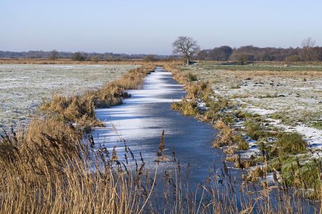 Frozen Dyke Across Snow Covered Wetland Editorial Stock Photo - Stock ...