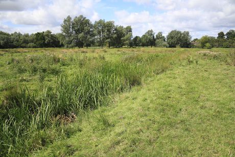 69 Damp meadows Stock Pictures, Editorial Images and Stock Photos ...