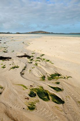 Stream Flowing Across Beach Low Tide Editorial Stock Photo - Stock ...