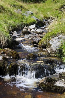 46 Allt Stock Pictures, Editorial Images and Stock Photos | Shutterstock