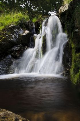46 Allt Stock Pictures, Editorial Images and Stock Photos | Shutterstock