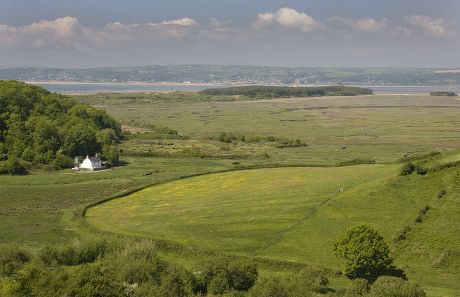 51 Gower farm Stock Pictures, Editorial Images and Stock Photos ...