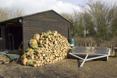 3 Log rollers Stock Pictures, Editorial Images and Stock Photos ...