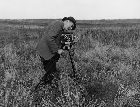 Field Marshal Lord Alanbrooke Minsmere Suffolk Editorial Stock Photo ...