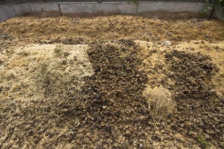Muck Heap Editorial Stock Photo - Stock Image | Shutterstock