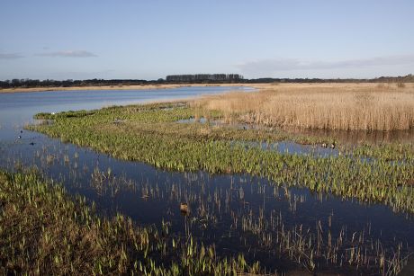 Looking West Island Mere Hide Rspb Editorial Stock Photo - Stock Image ...
