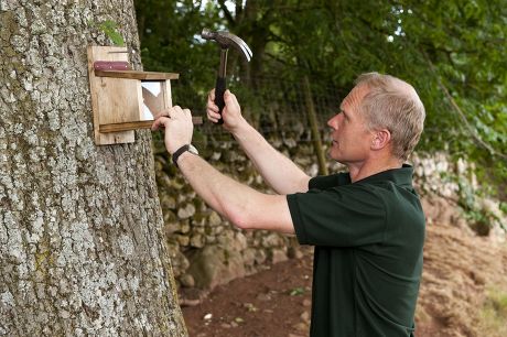 500 Naturalists Stock Pictures, Editorial Images and Stock Photos ...