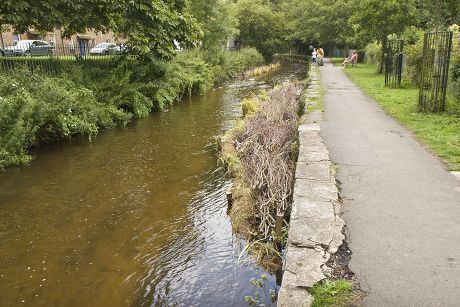River Narrowing Deflectors Increase Stream Velocity Editorial Stock ...
