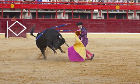 Bullfighting Matador Cape Fighting Bull Impaled Editorial Stock Photo ...